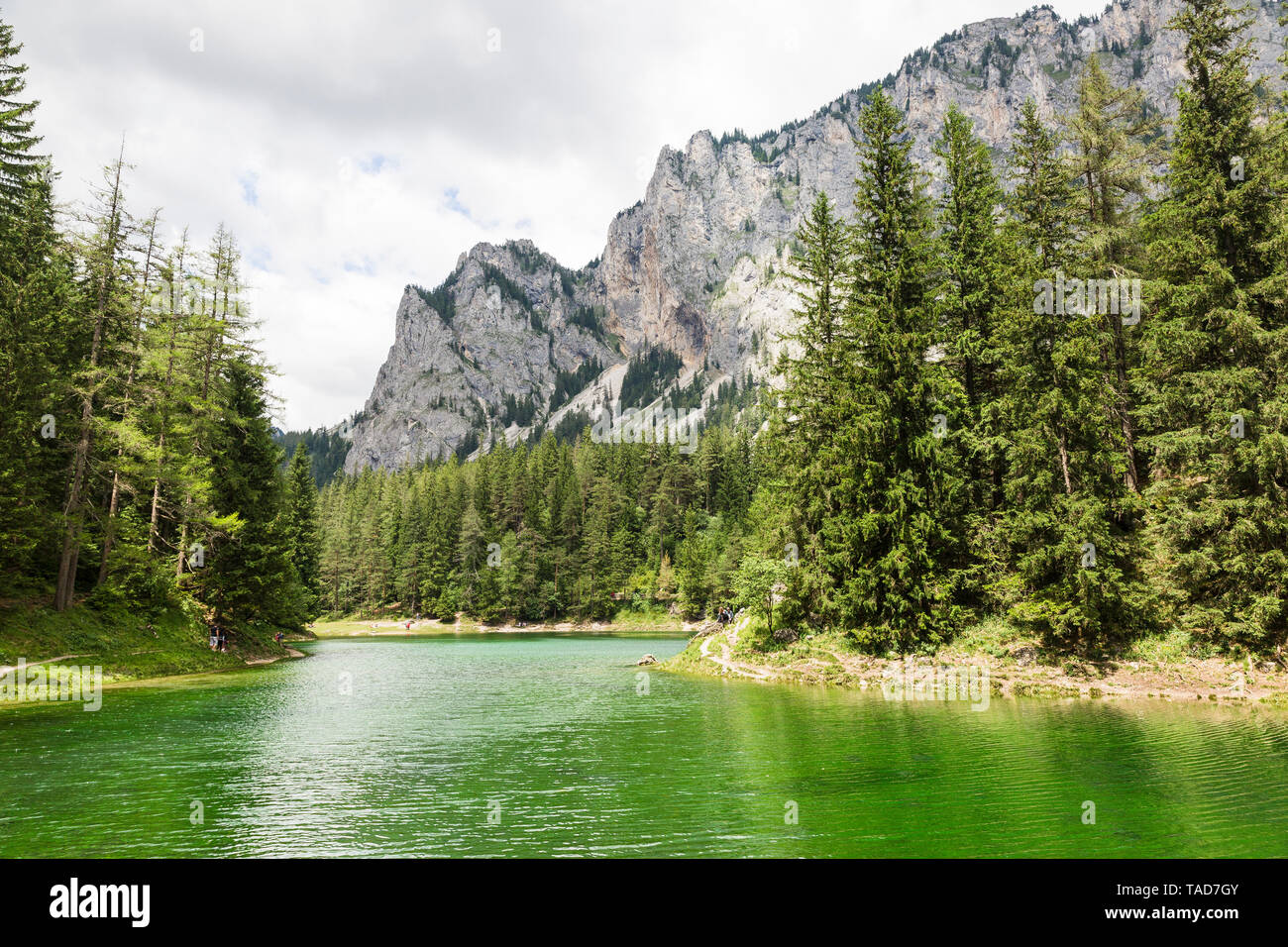 Green lake styria hi-res stock photography and images - Alamy