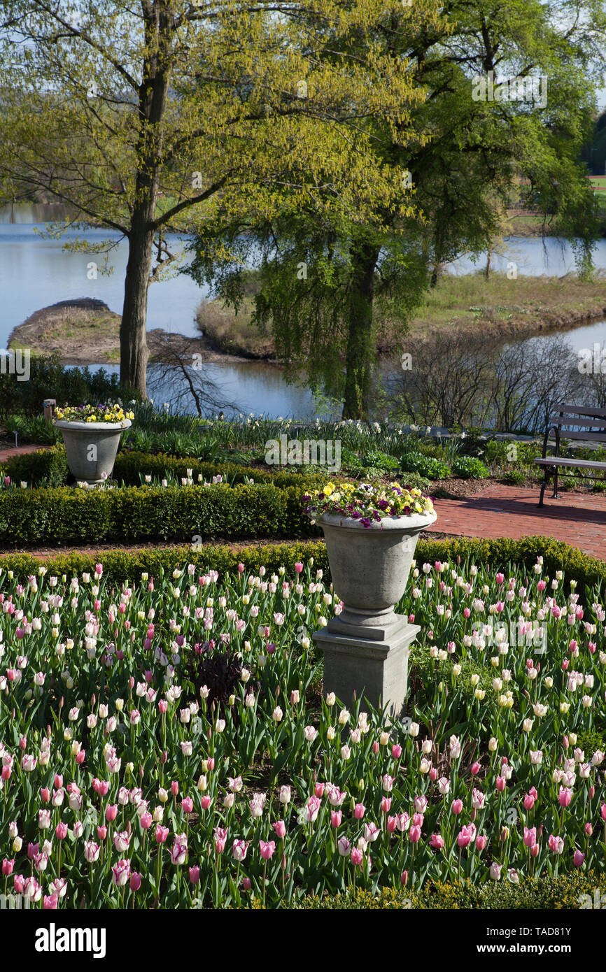 Smith College Paradise Pond