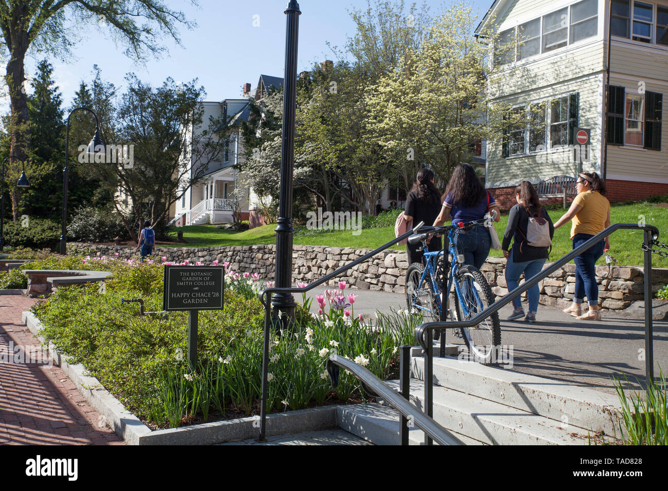 Students pass along walkway through in an idyllic campus at Smith ...