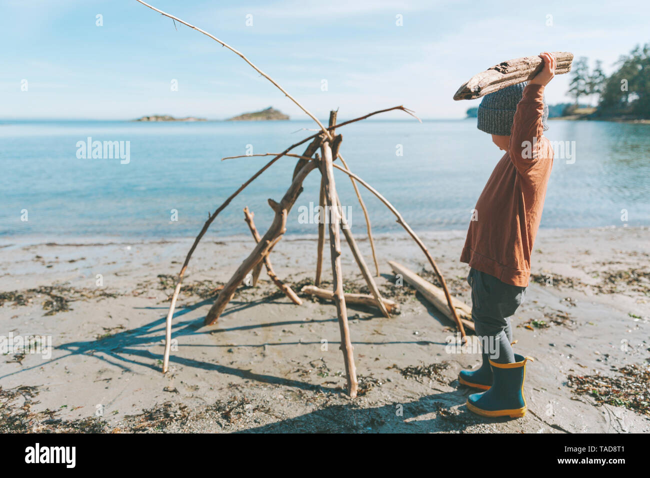 Drift wood on a beach hi-res stock photography and images - Alamy