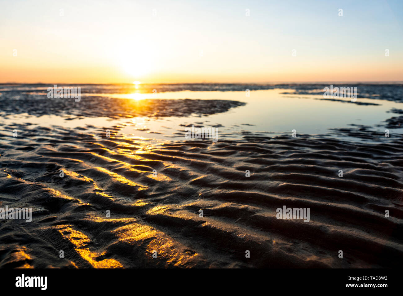 Germany, North Sea, Cuxhaven, mudflat, beach Stock Photo - Alamy