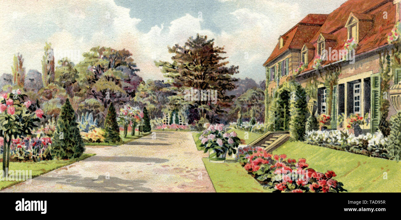 The combination of nature and tree motifs in a garden': villa garden ...