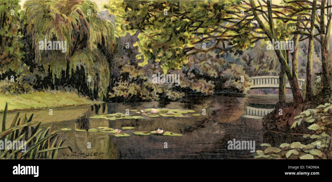 Park garden according to nature motifs': Park-like gardens Stock Photo ...