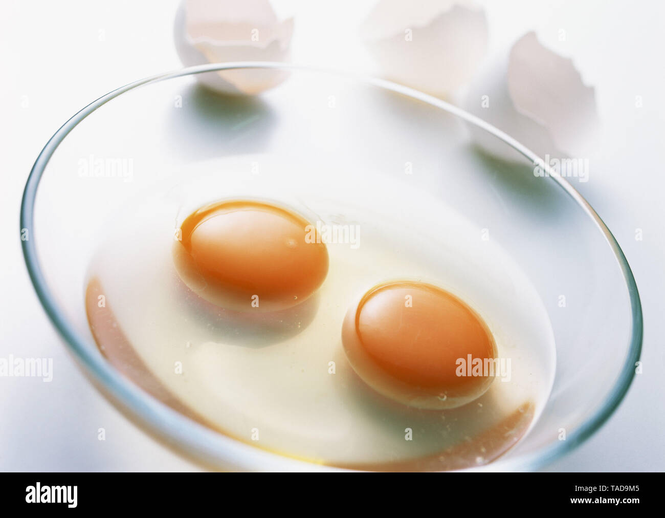 pictures of fresh eggs ready to cook Stock Photo - Alamy
