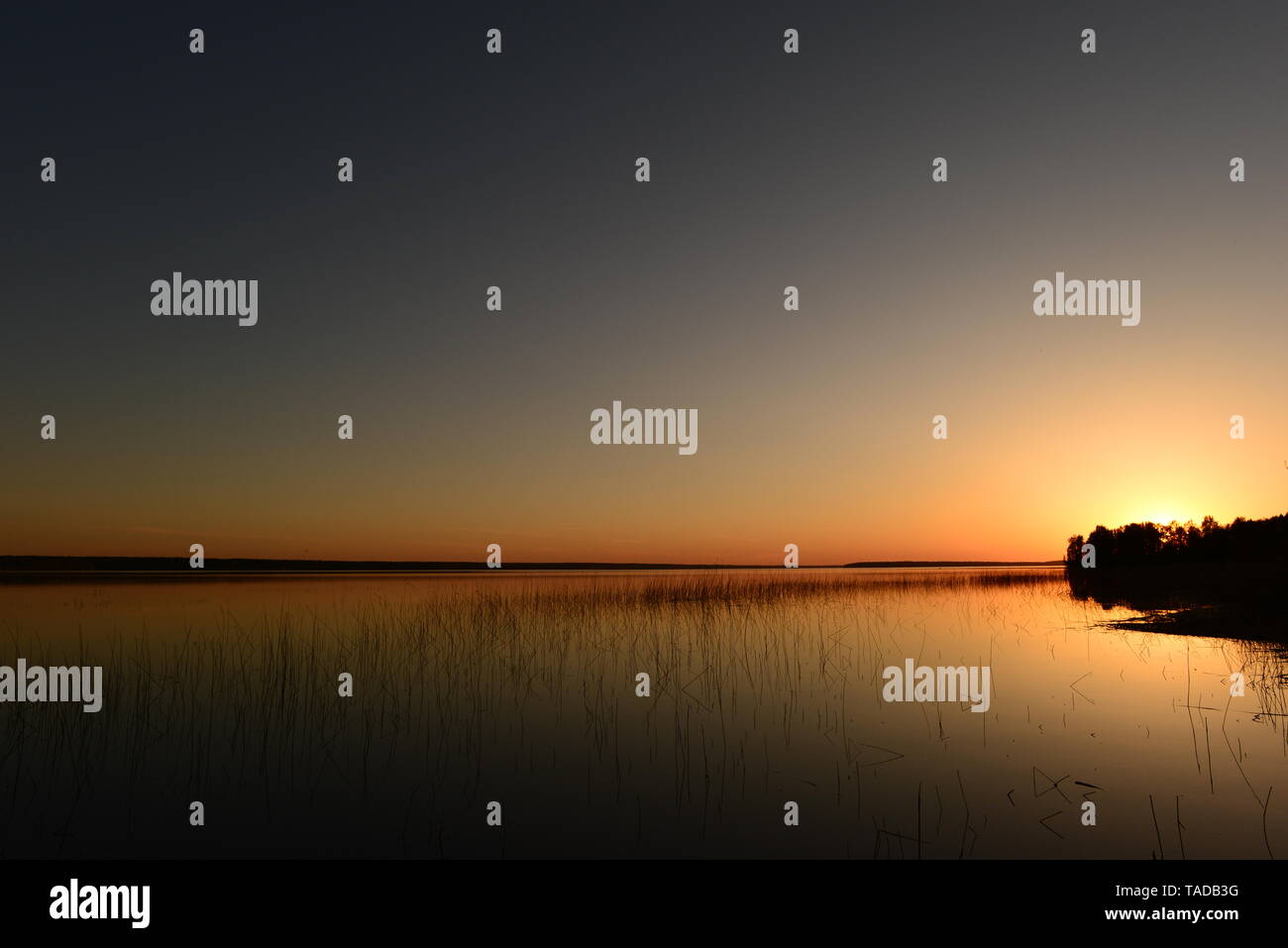 Sunbeam reflection in golden hi-res stock photography and images - Alamy