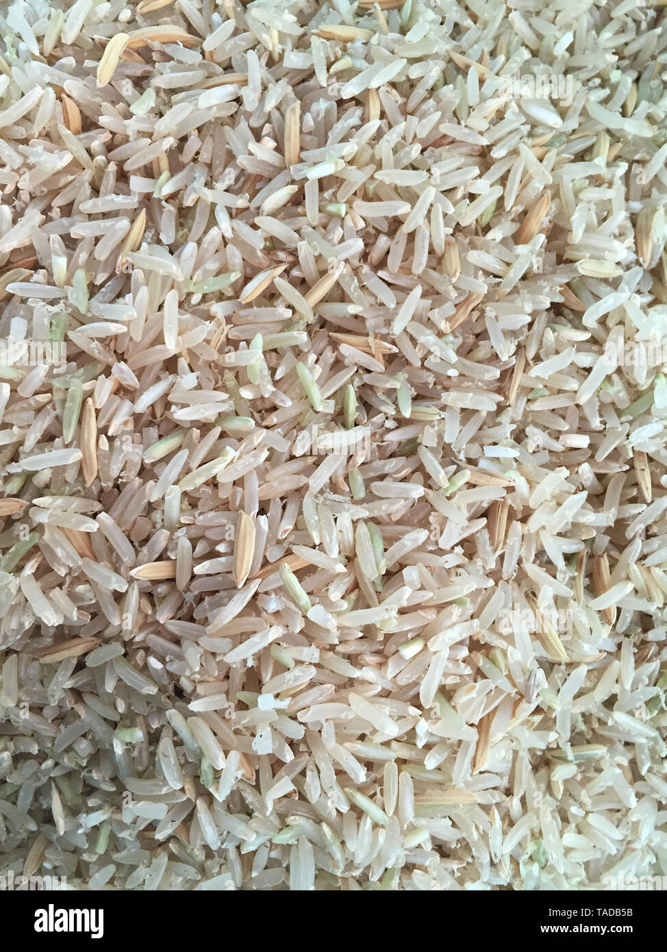 Rice texture close up. Natural rice background and texture. Thai rice ...
