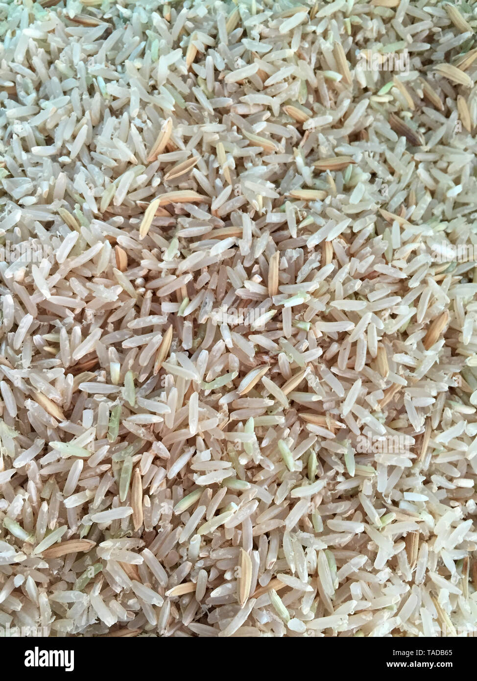 Rice texture close up. Natural rice background and texture. Thai rice ...