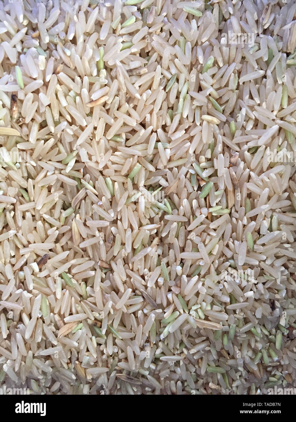 Rice texture close up. Natural rice background and texture. Thai rice ...