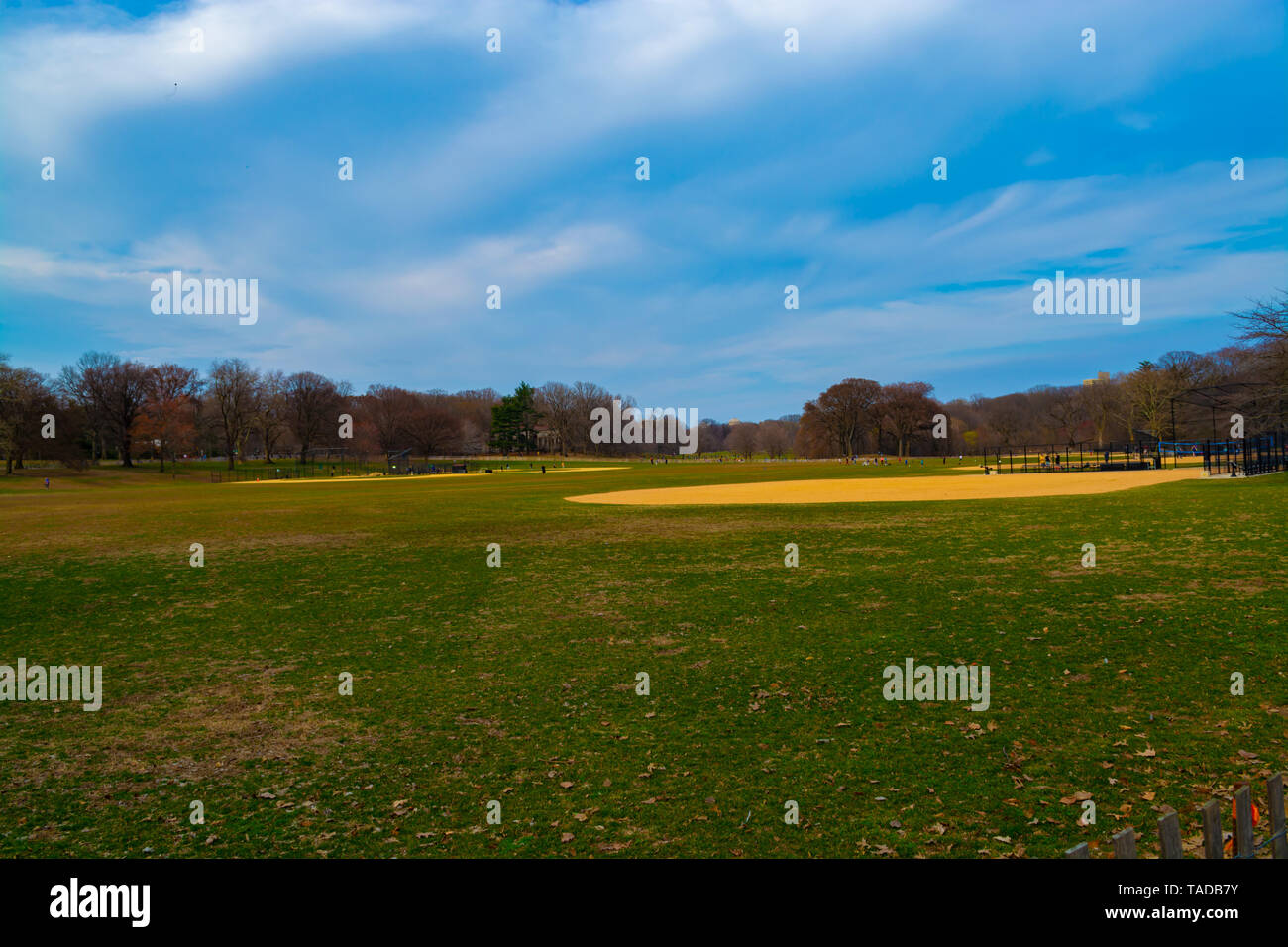 Park field with blue sky and trees Stock Photo - Alamy