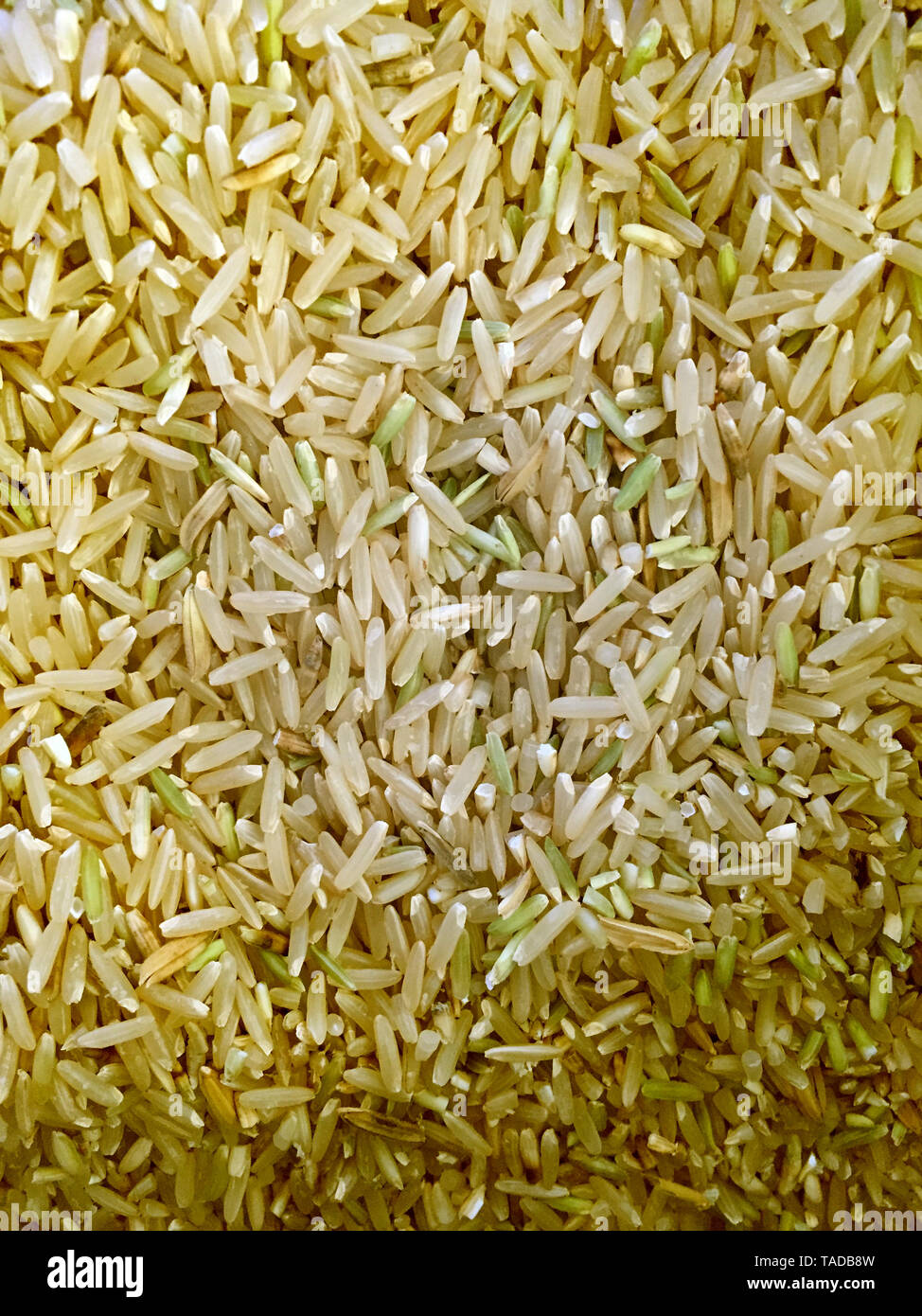 Rice texture close up. Natural rice background and texture. Thai rice ...