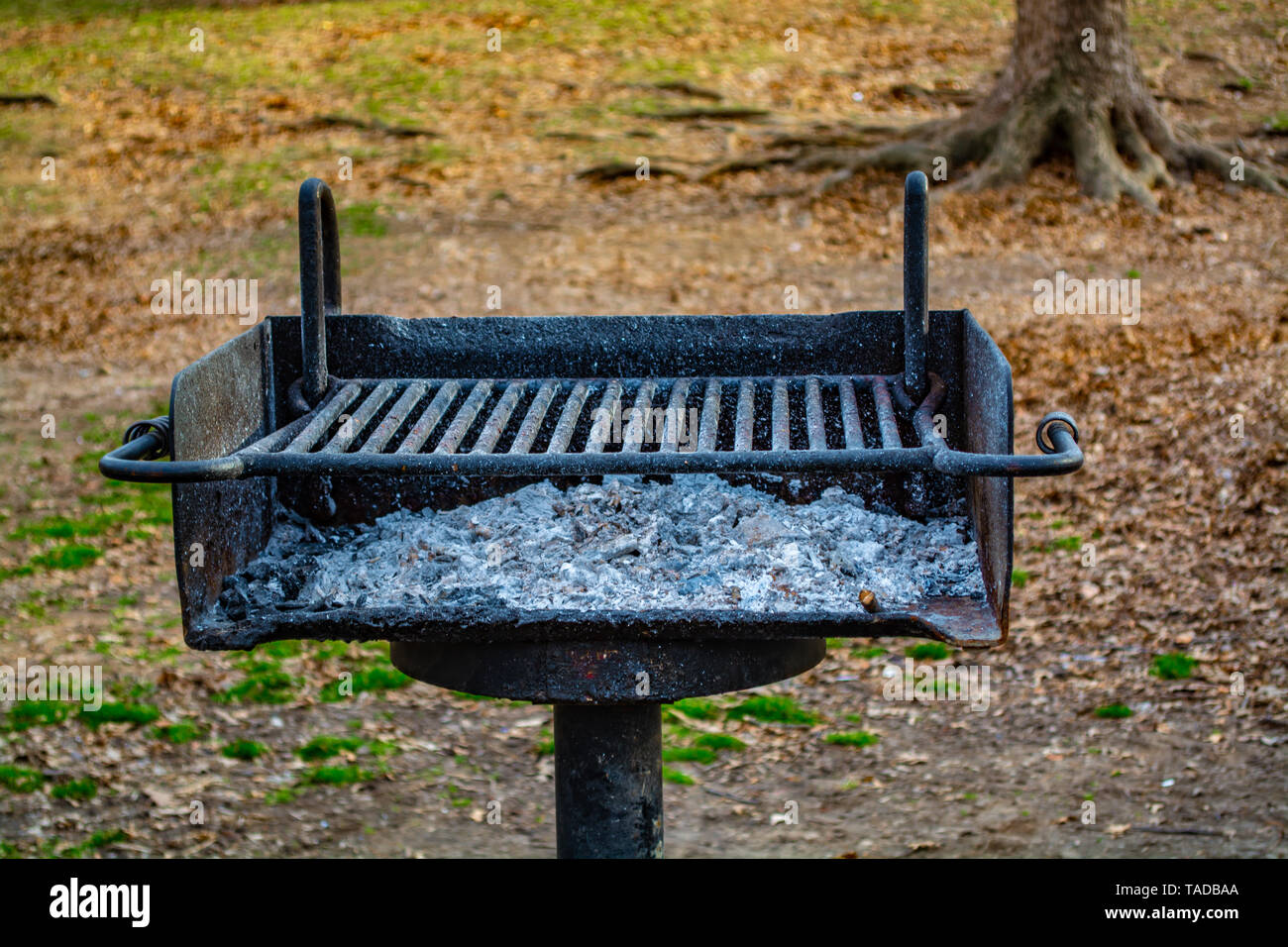 Burned charcoals and white soot on the barbecue grill in the park Stock ...