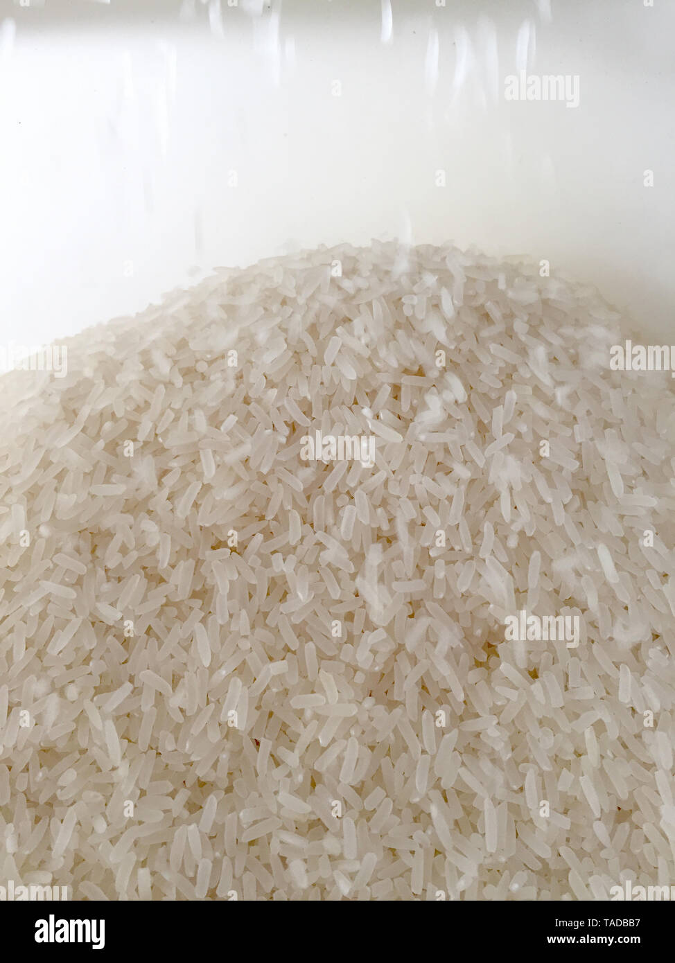 Rice texture close up. Natural rice background and texture. Thai rice ...