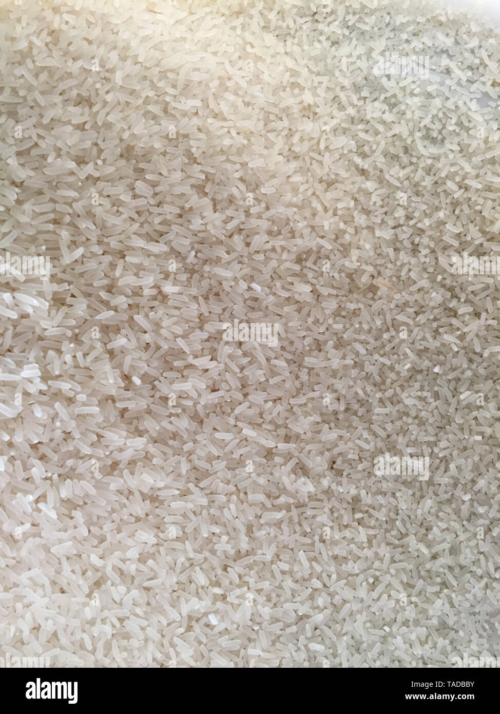 Rice texture close up. Natural rice background and texture. Thai rice ...