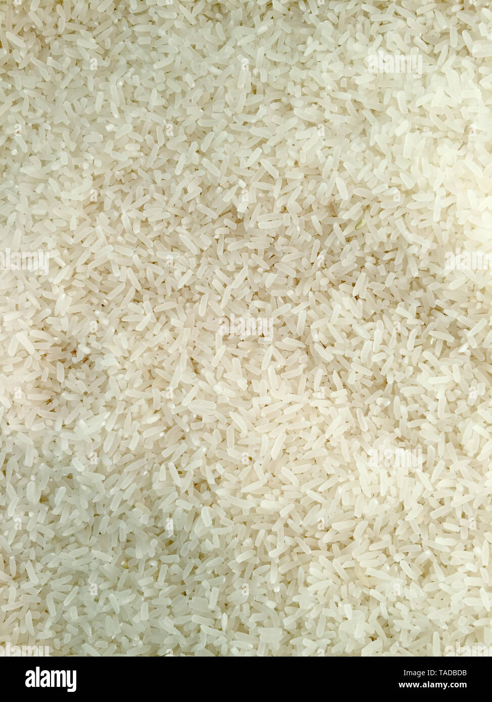Rice texture close up. Natural rice background and texture. Thai rice ...