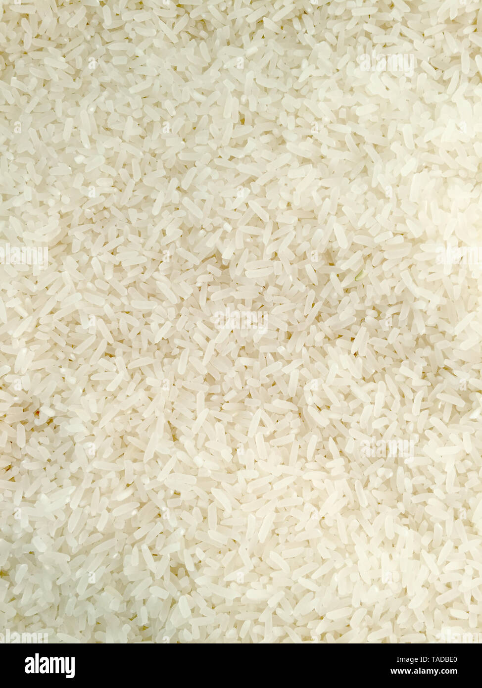 Rice texture close up. Natural rice background and texture. Thai rice ...