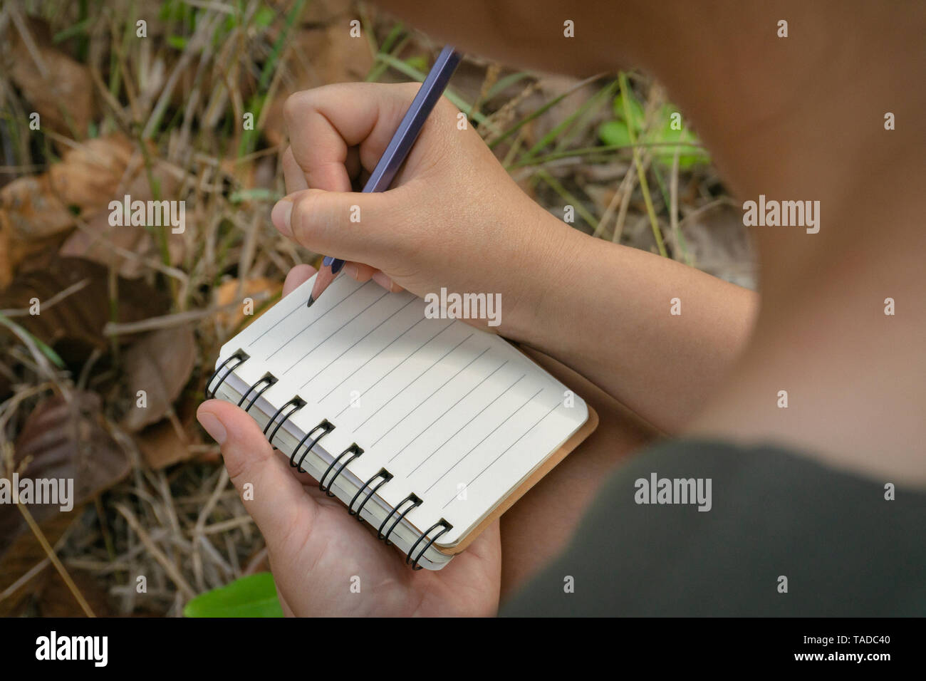 Write a feeling in a small notebook with a purple pencil Stock Photo ...