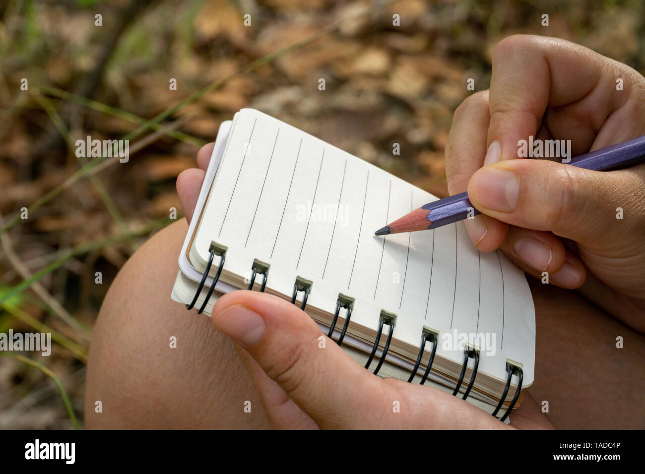 Write a feeling in a small notebook with a purple pencil Stock Photo ...