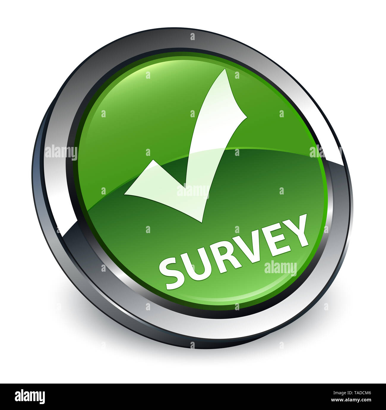 Survey (validate icon) isolated on 3d soft green round button abstract ...