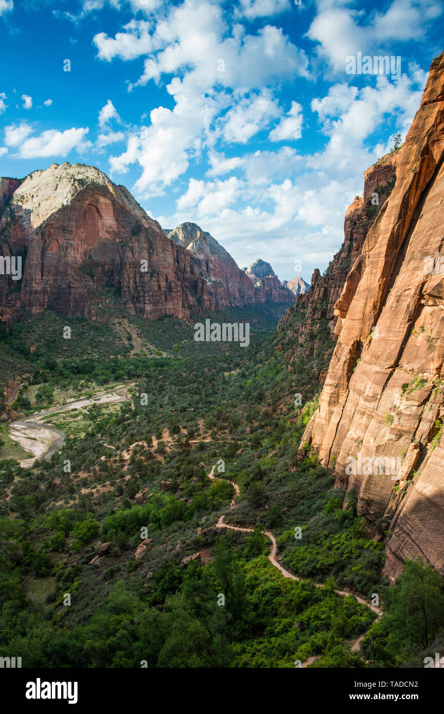 USA, Utah, Zion National Park, Overlook over the cliffs and the Angels ...
