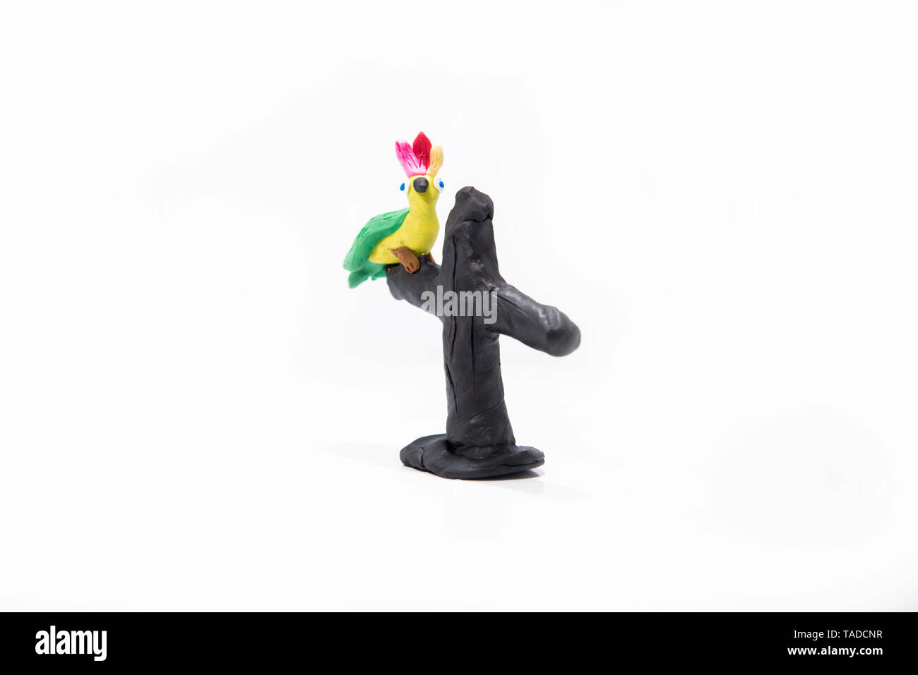 Plasticine artwork. Handmade parrot. Abstract isolated photo Stock ...
