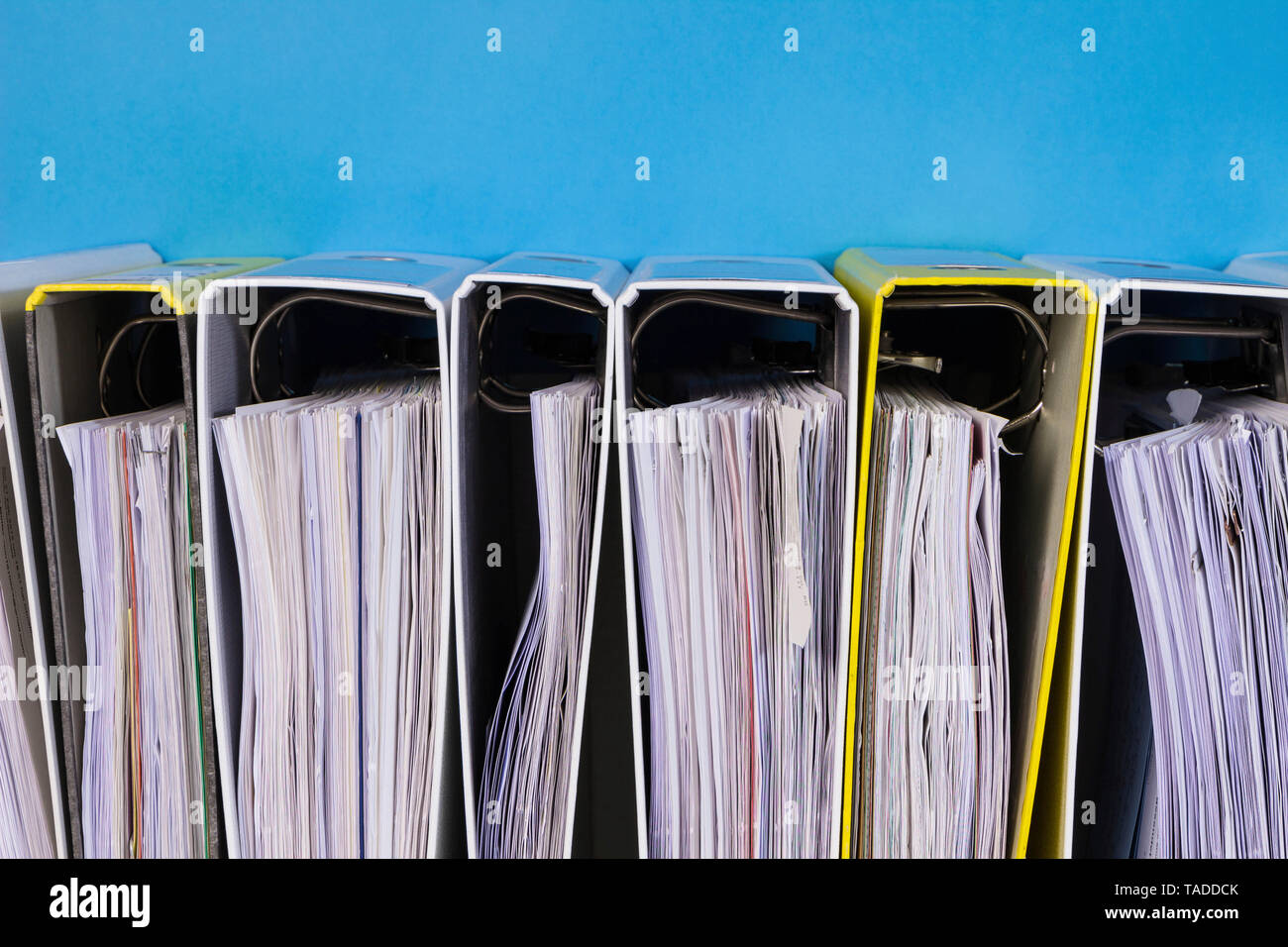 Folder shelfs in a row Stock Photo - Alamy