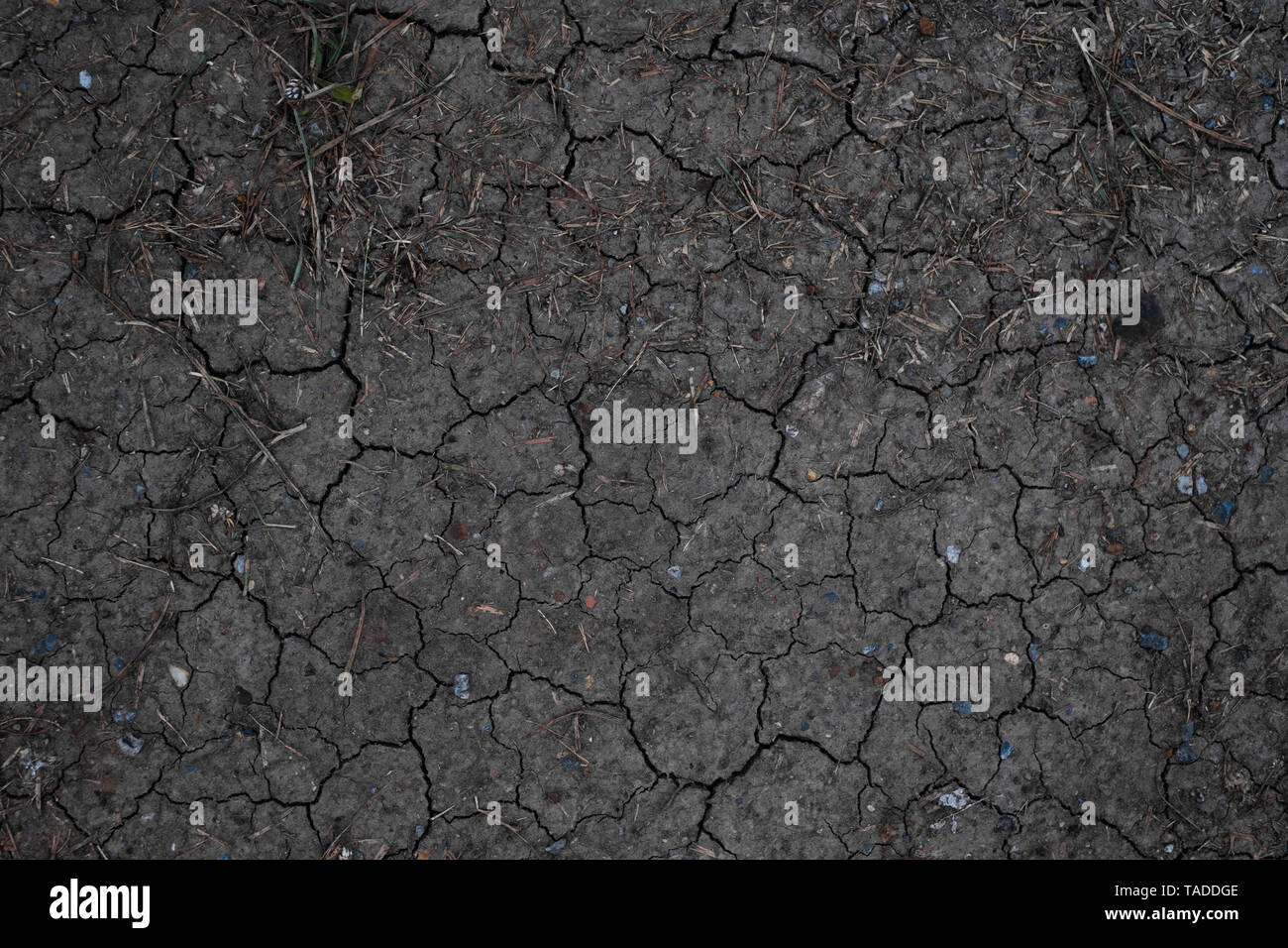 Dry land or dry soil. Cracked ground background. agriculture concept ...