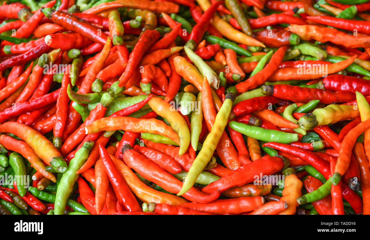 Chili background / Fresh red and green chilli pepper texture Stock ...