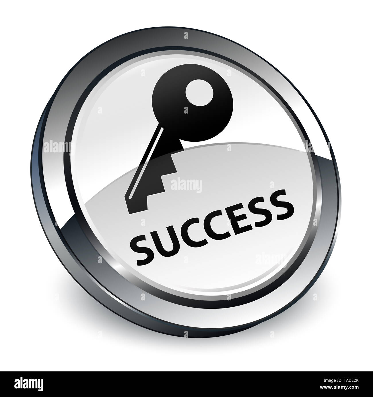 Success (key icon) isolated on 3d white round button abstract ...