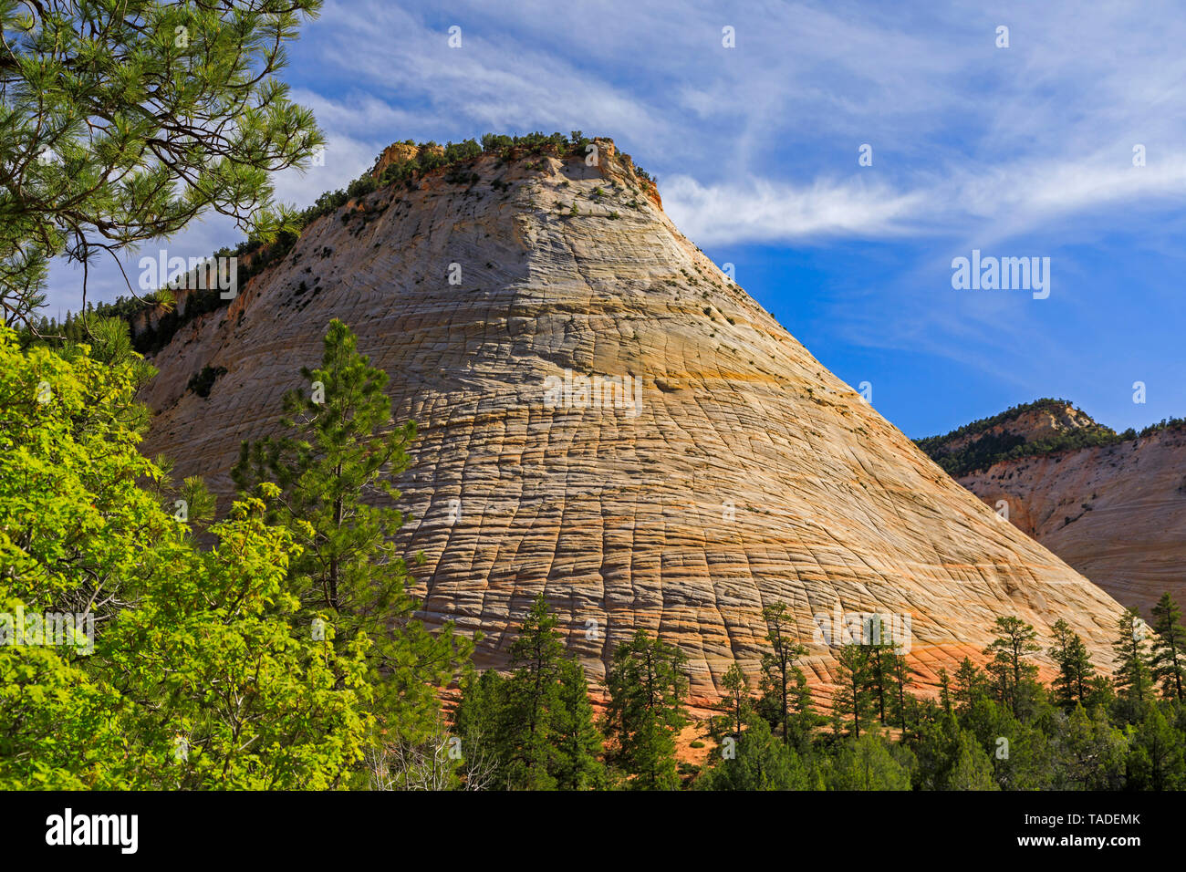 A springtime view of Checkerboard Mesa, a scenic sandstone formation in ...