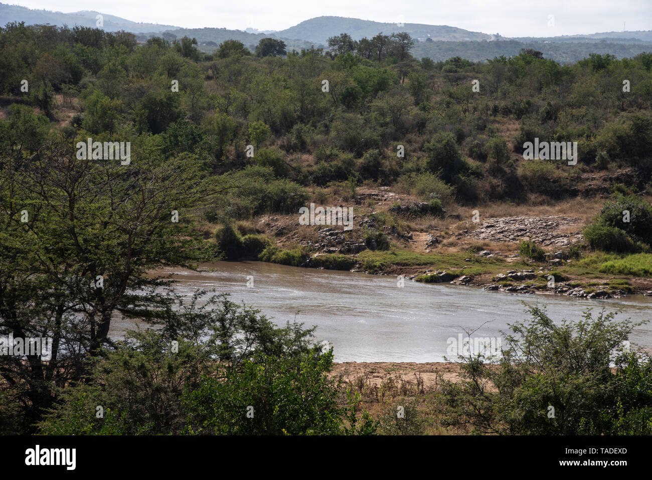 Umfolozi park hi-res stock photography and images - Alamy
