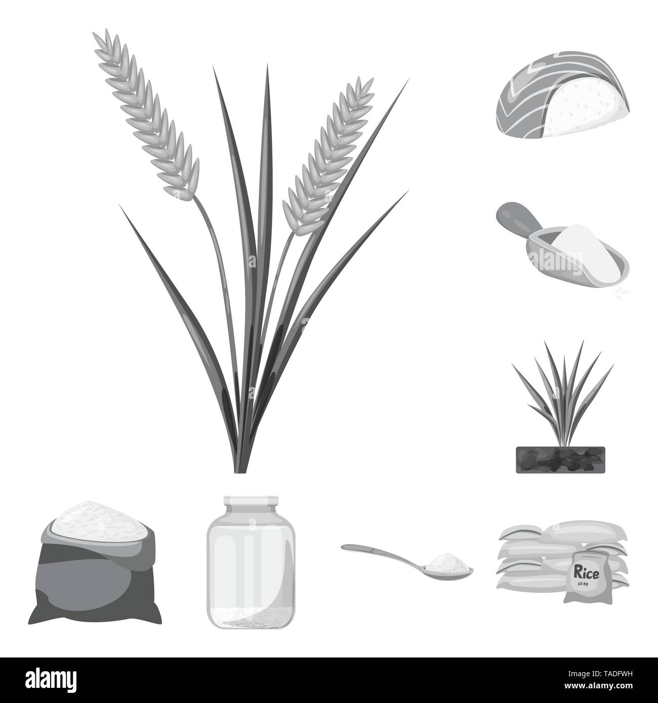 Vector illustration of food and organic icon. Collection of food and ...