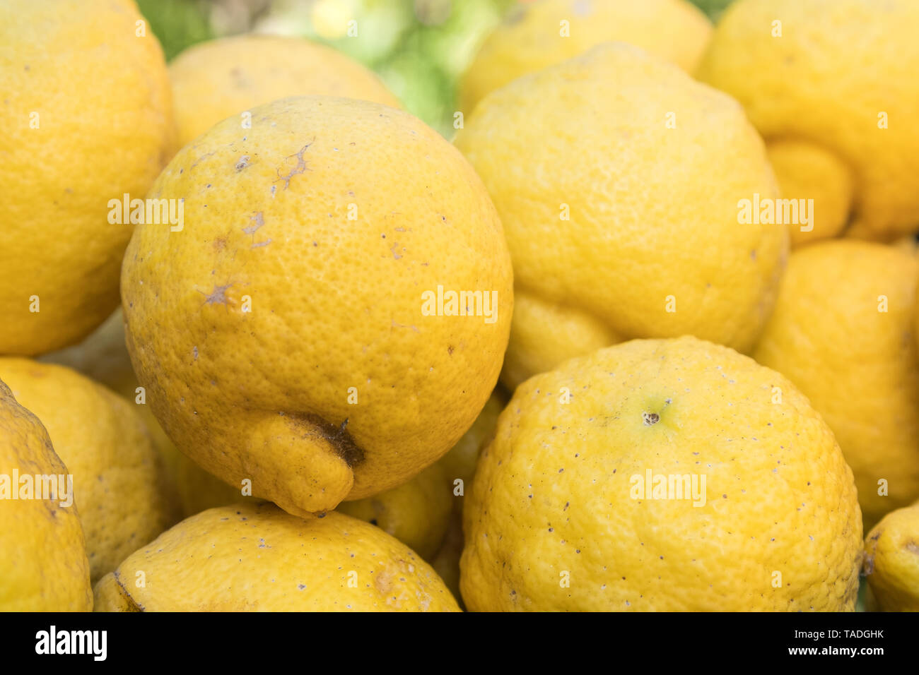 Fresh sicilian lemons hi-res stock photography and images - Alamy