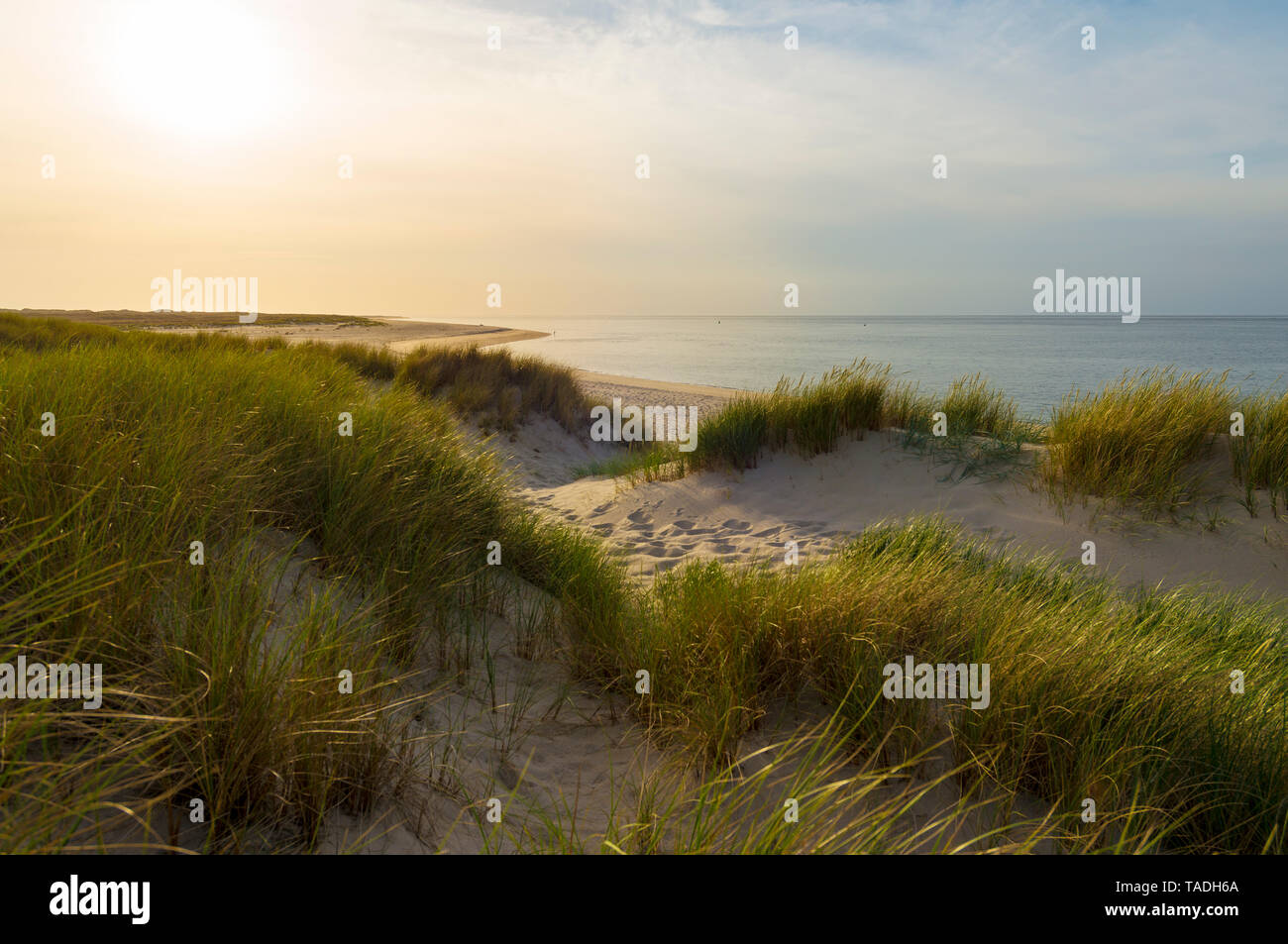 North sea sunset hi-res stock photography and images - Alamy