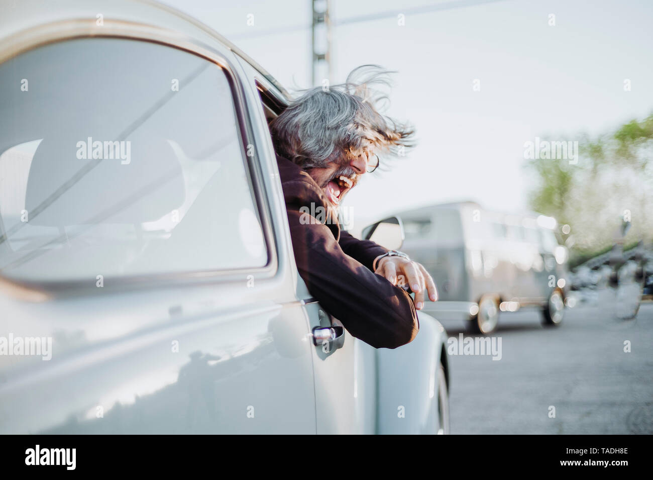 Senior man leaning out of window of vintage car screaming Stock Photo ...