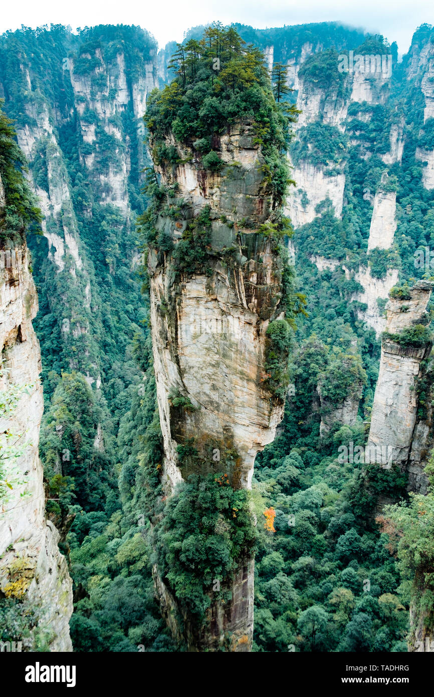 Huge rock formation amazingly erected at Zhangjiajie National Park ...