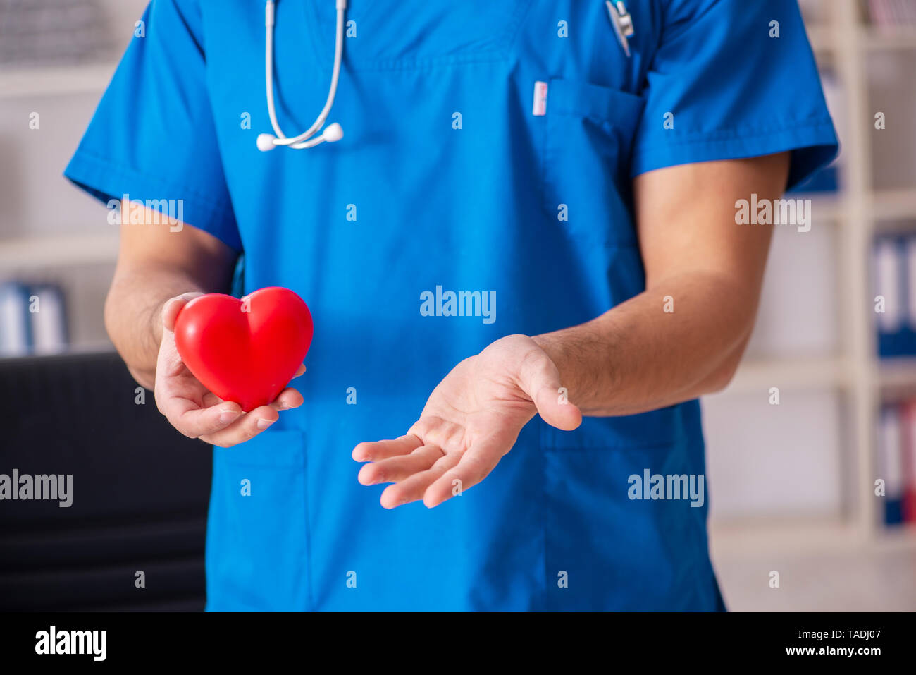 Male doctor cardiologist holding heart model Stock Photo - Alamy