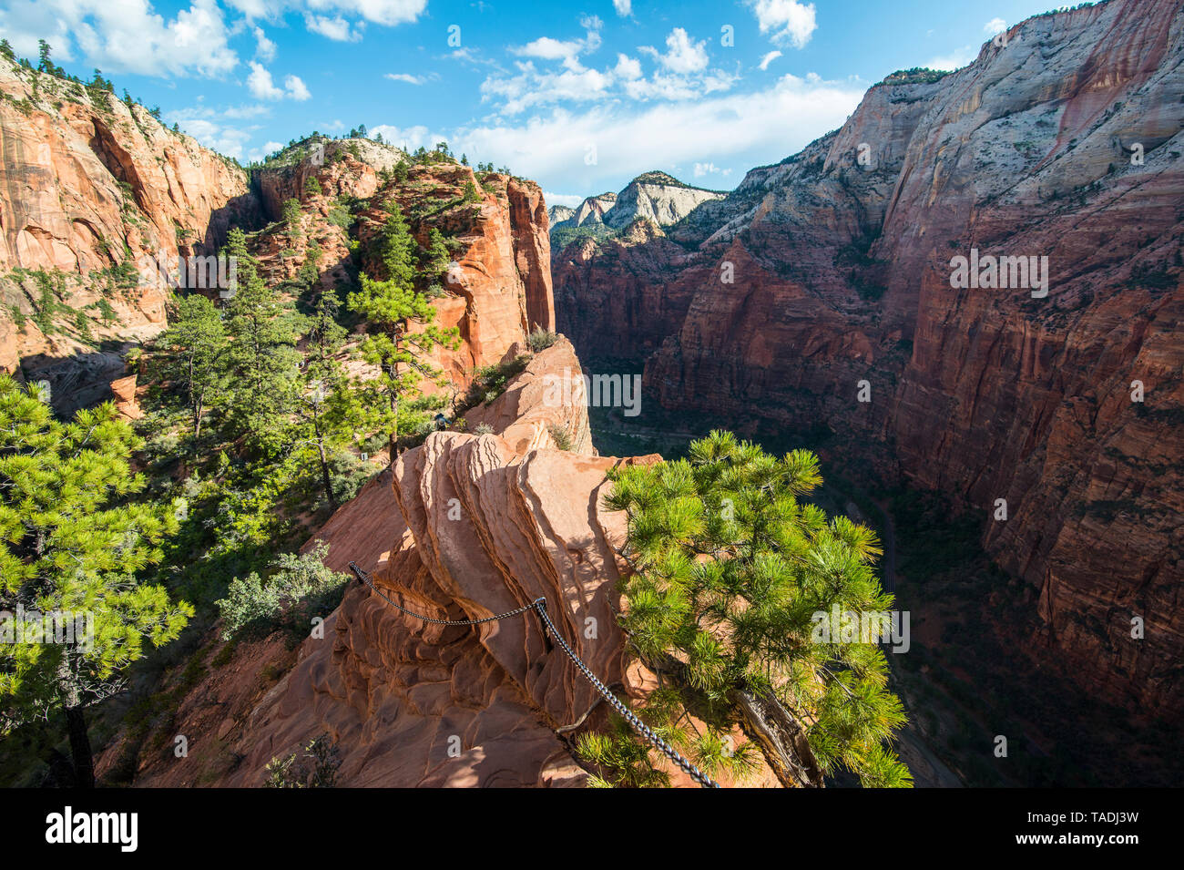 USA, Utah, Zion National Park, Narrow edge leading to Angels Landing ...