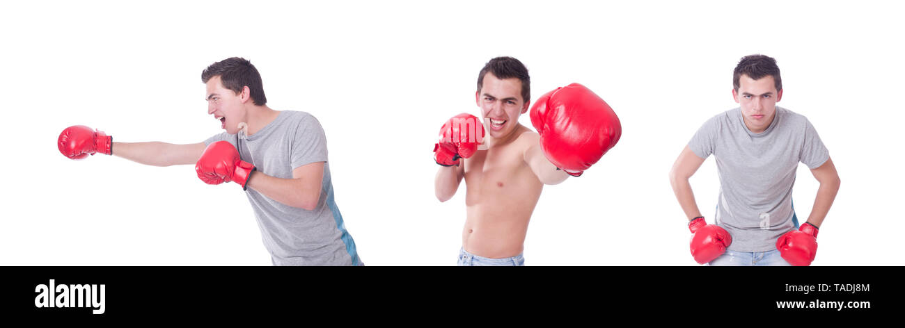 Funny boxer isolated on the white background Stock Photo - Alamy