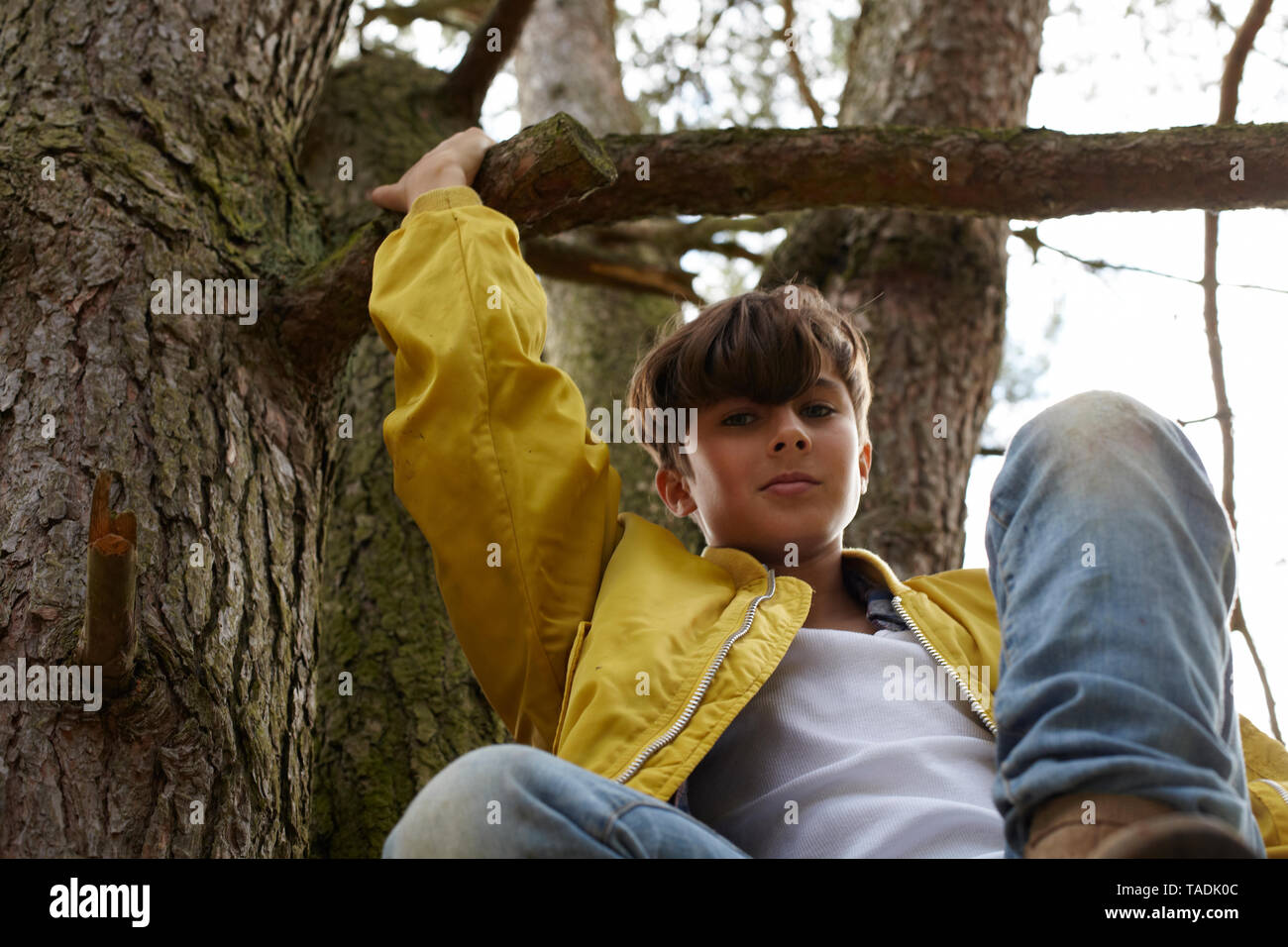 The boy in the tree hi-res stock photography and images - Alamy