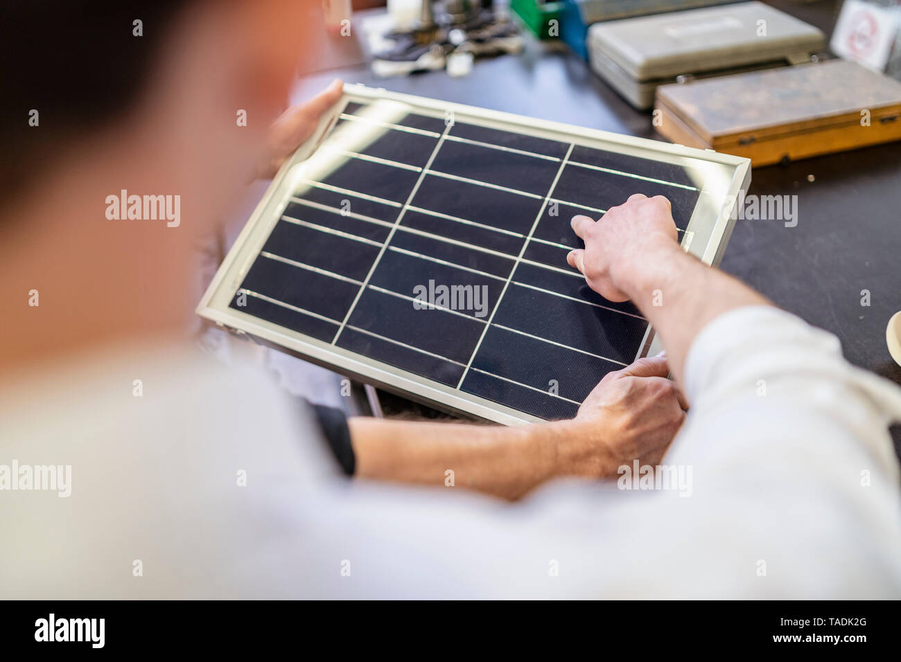 Plant cell close up hi-res stock photography and images - Alamy