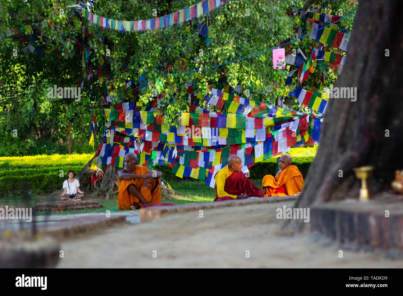 Buddhist monks talking at Lumbini gardens by bodhi tree wtih prayer ...