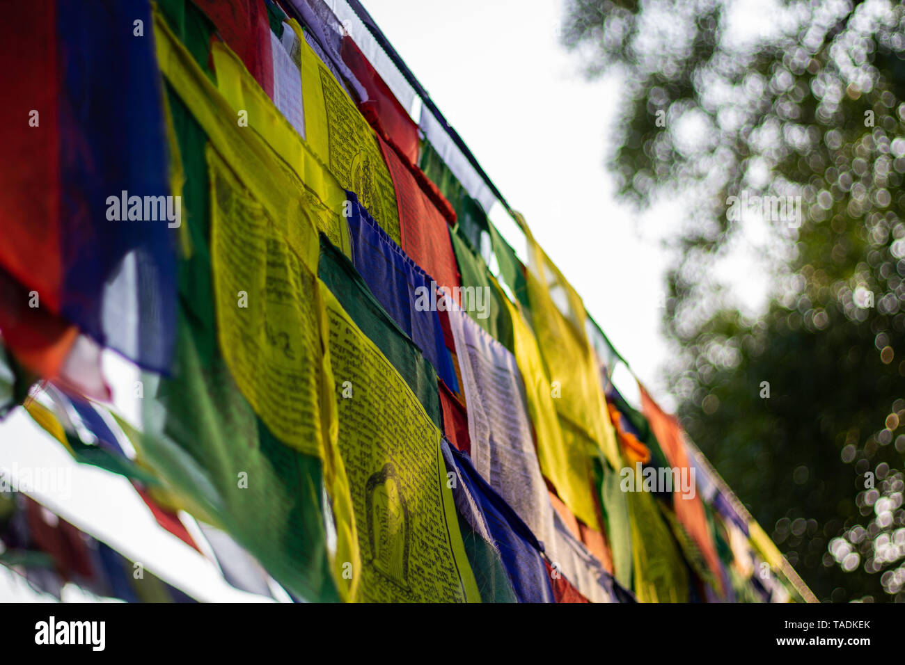 Buddhist Prayer flags Stock Photo - Alamy
