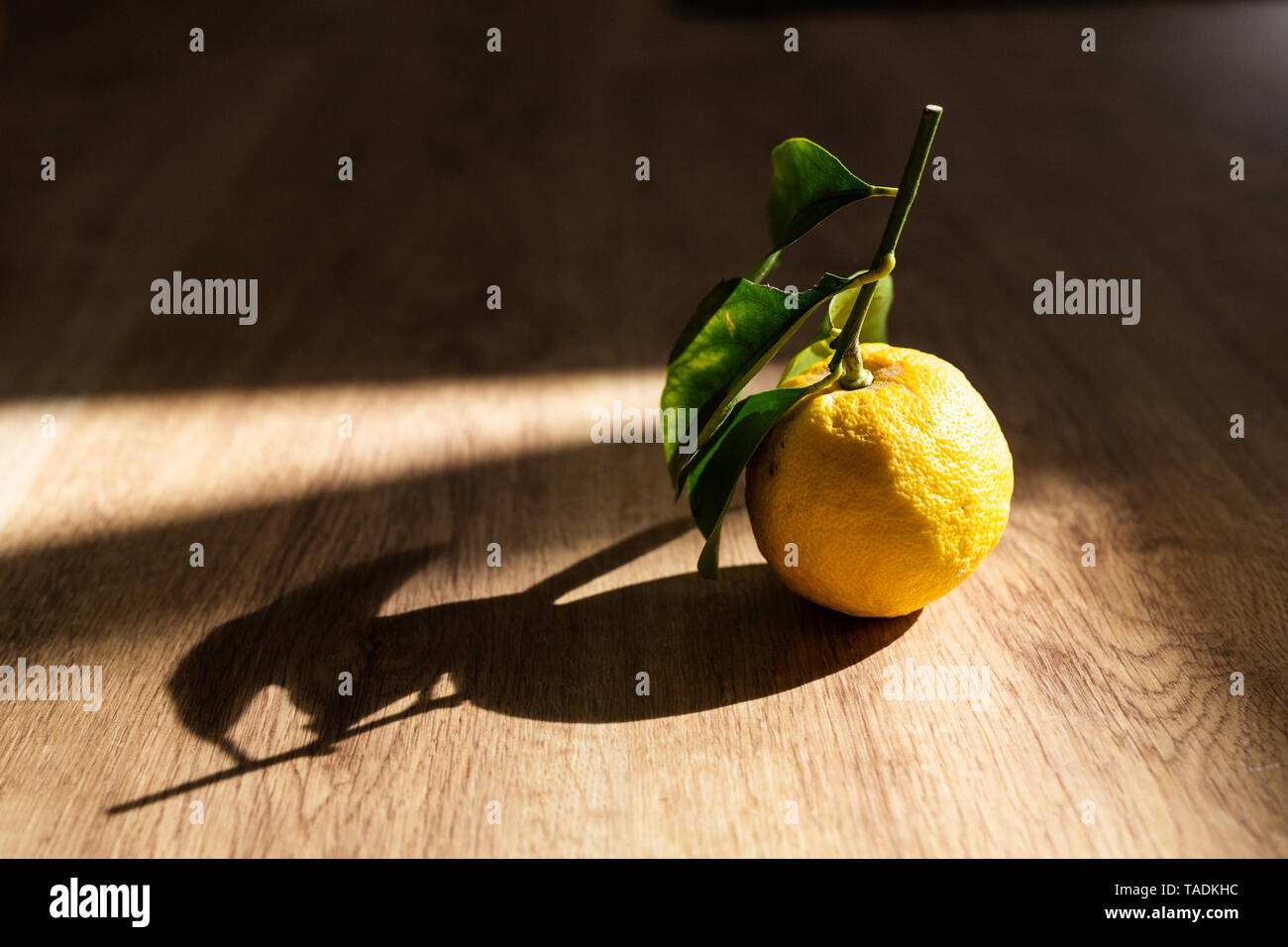 Lemon and shadow on wood Stock Photo - Alamy