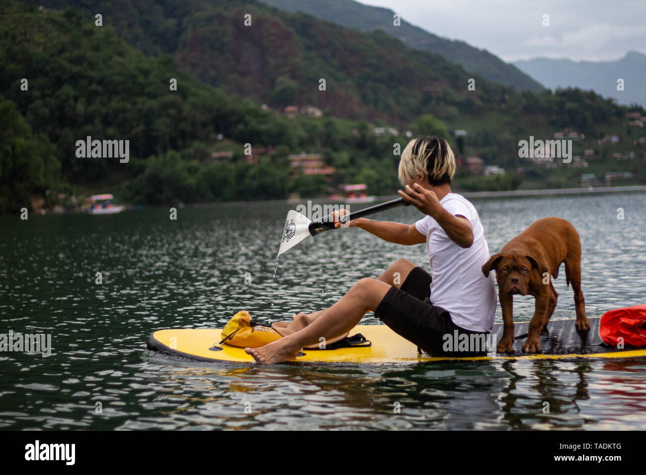 Young man rowing on paddleboard accompanied by dog in the Pokhara Lake ...