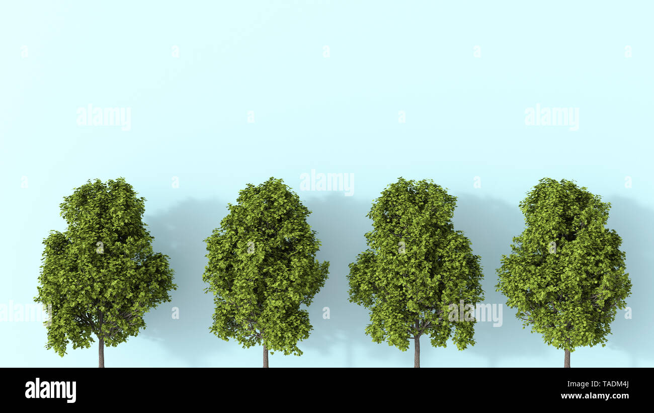3D rendering, Row of summer trees Stock Photo - Alamy