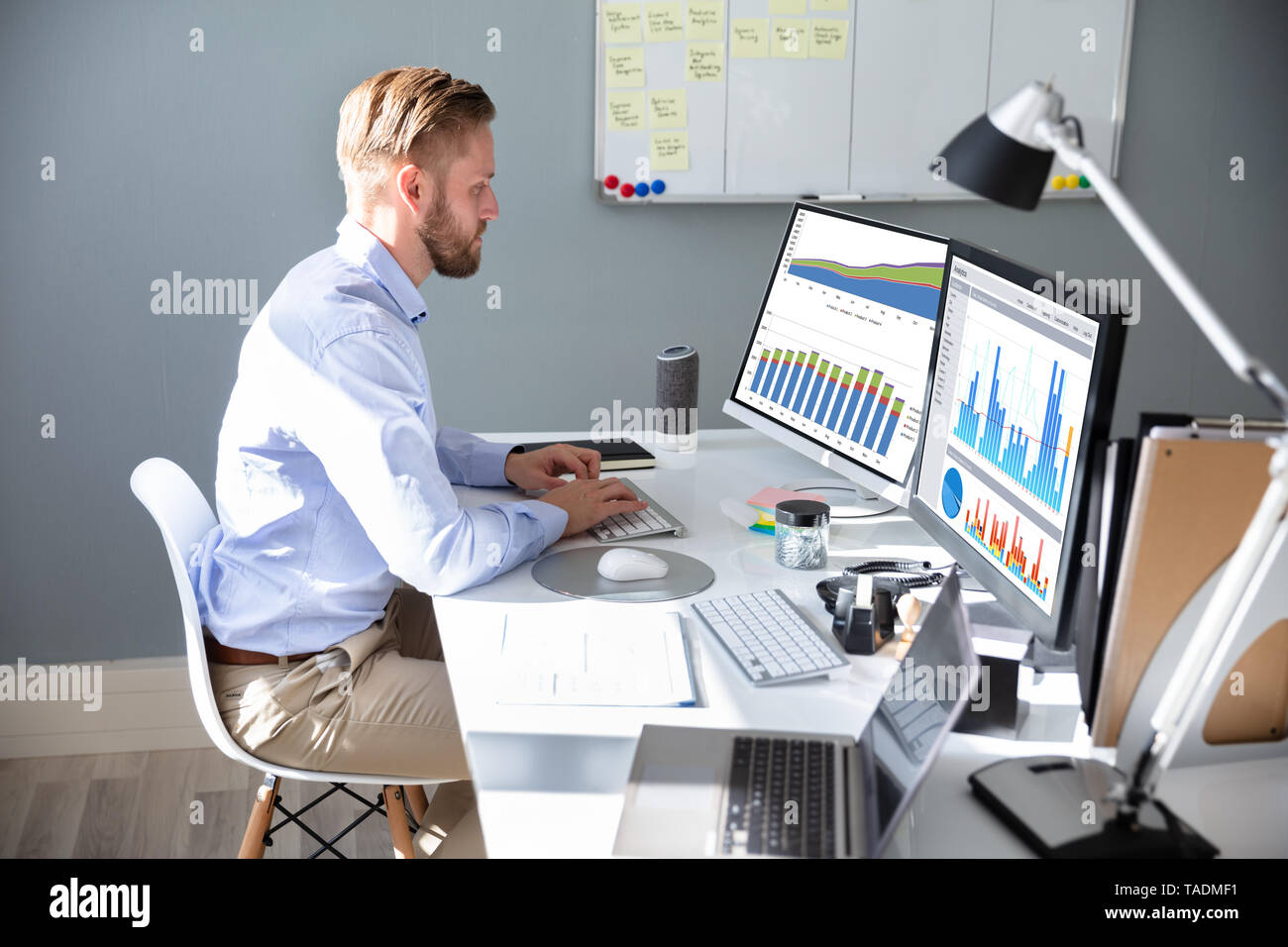 Person analyzing charts on laptop hi-res stock photography and images - Alamy