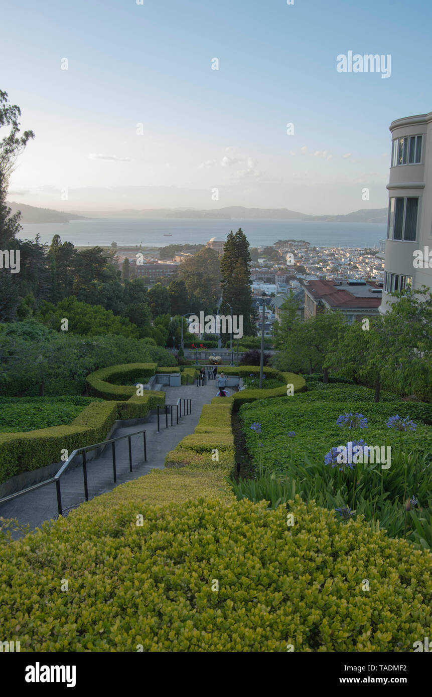 The Lyon Street Steps in San Francisco is a public staircase that ...