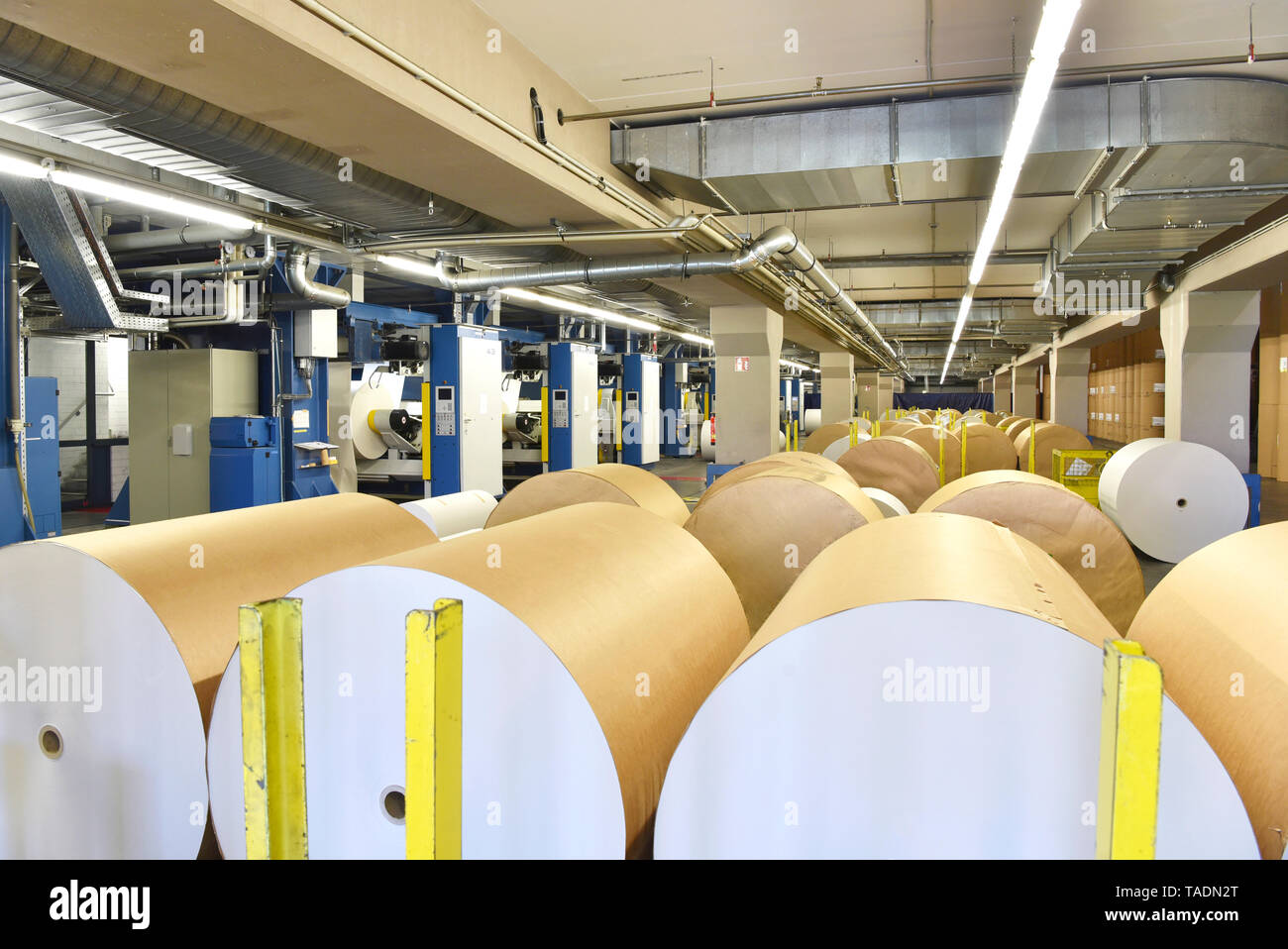 Printing shop: paper rolls at printing presses Stock Photo - Alamy
