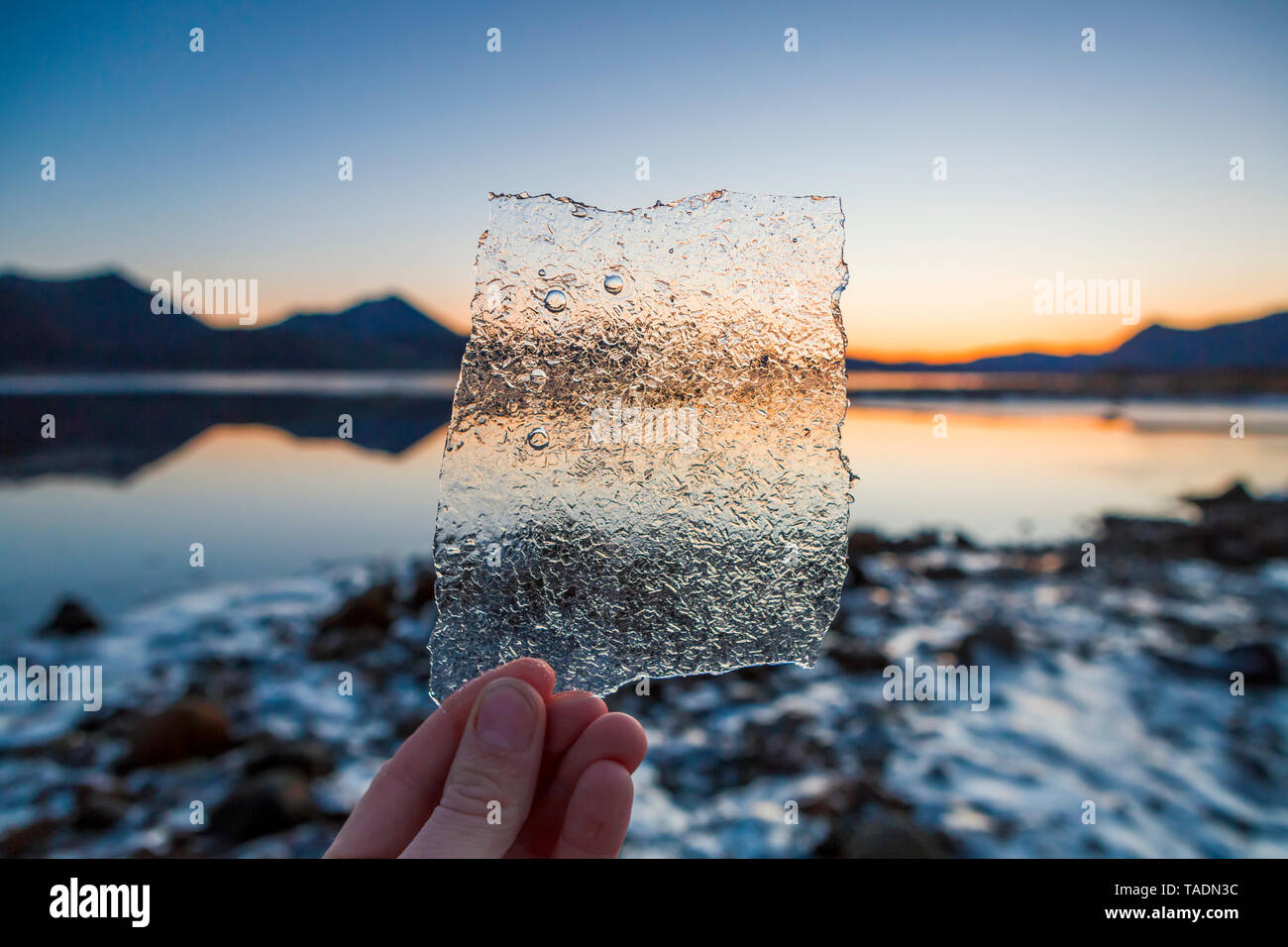 Norway, Lofoten Islands, man's hand holding thin ice Stock Photo - Alamy