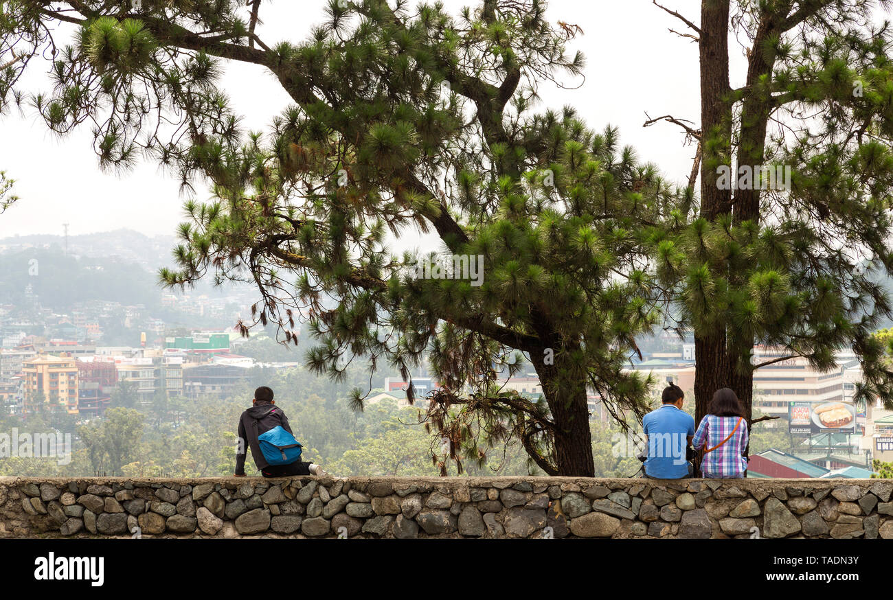 Philippine pine tree hi-res stock photography and images - Alamy